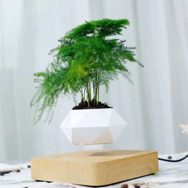 Magnetic Levitating Plant Pot for Bonsai & Real/Fake Plants, Floating ...