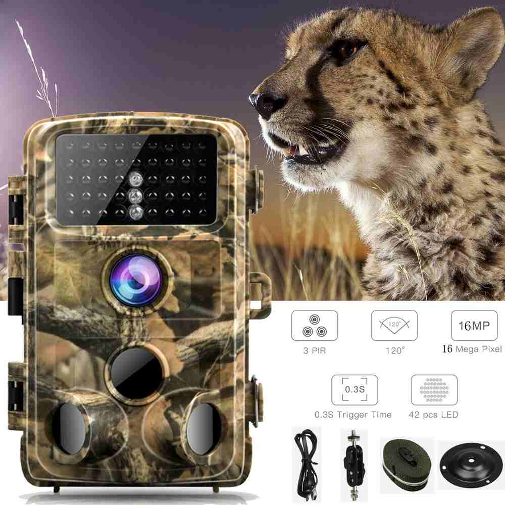 Hunting Trail Game Camera - Best Cellular Wireless Trail Camera - Clear ...